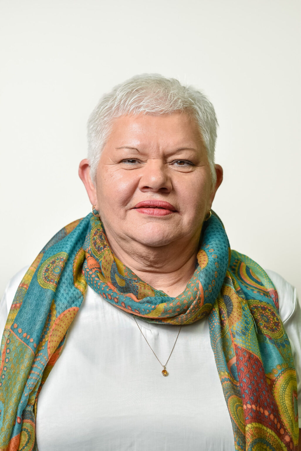 Our Organisation | WNSW PHN