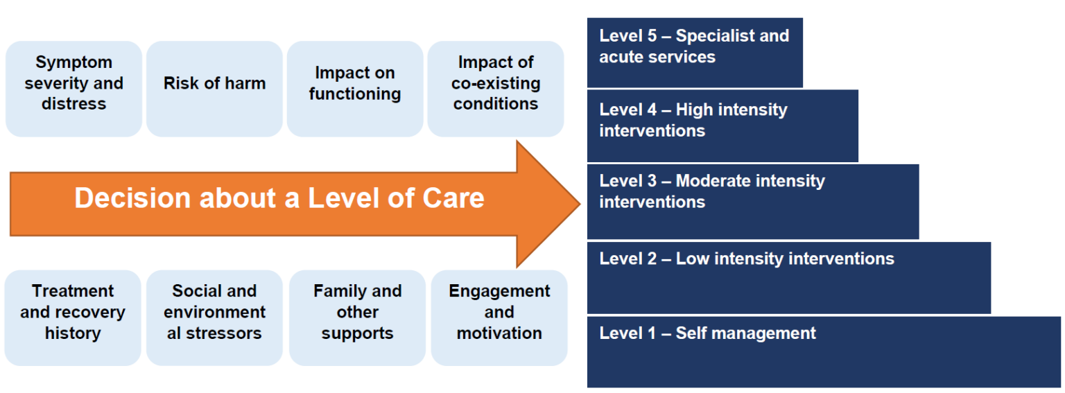 Initial Assessment and Referral Decision Support Tool | WNSW PHN